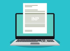 INP File - What is an .inp file and how do I open it? - Explore it Beyond